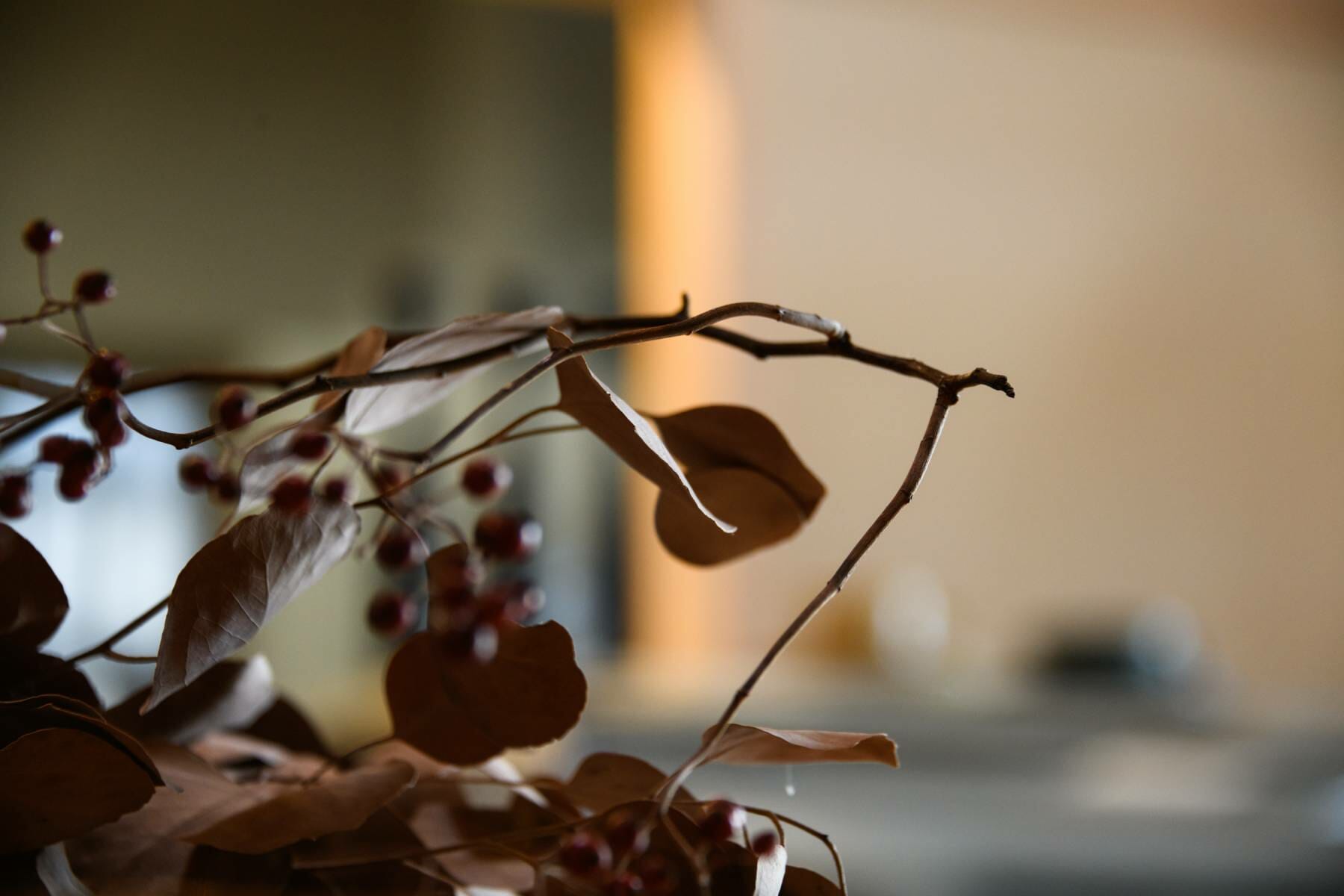 実家をリノベした小さなケーキ屋さん「Legris」 | 住宅設計作品 | 岡山の注文住宅は住宅専門設計事務所【風景のある家】